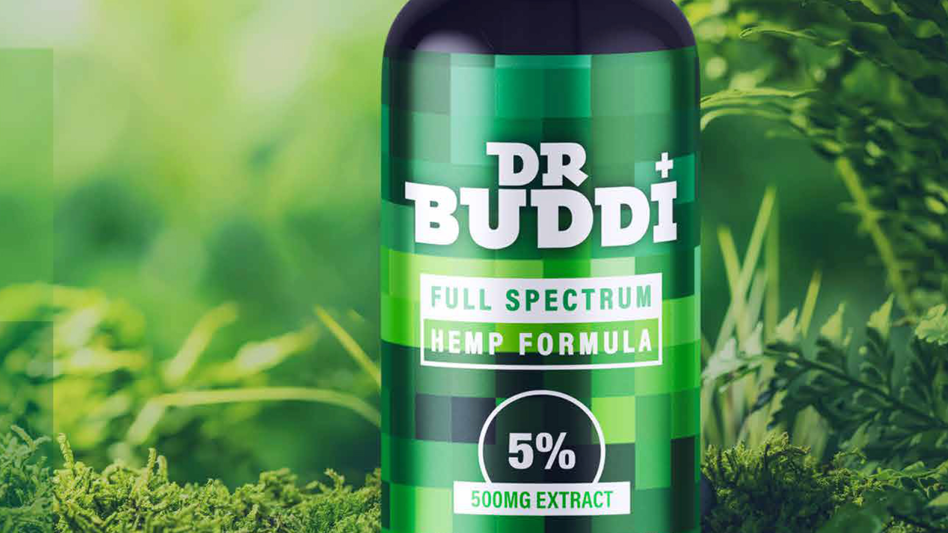 Dr Buddi Packaging Designs - Storytellers Australia